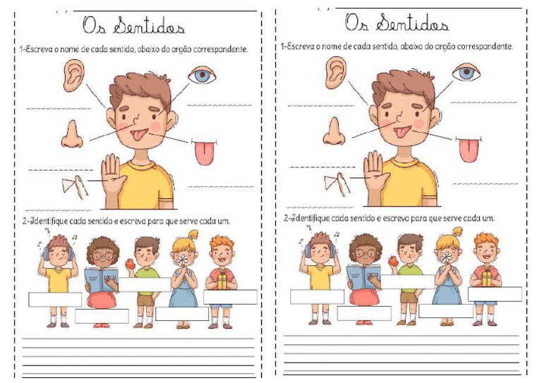 Ciencias - Cinco Sentidos | PDF