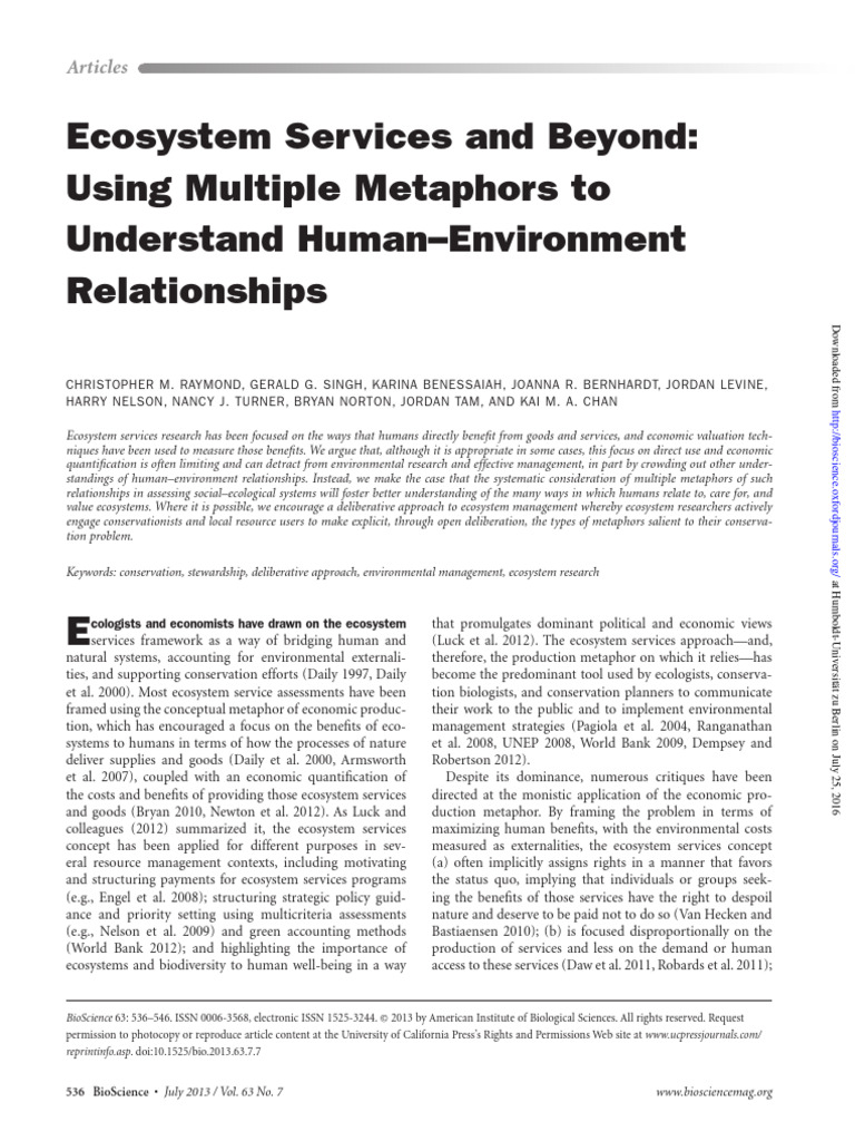 RAymond Et Al - 2013 - ES and Beyond Multiple Metaphors To Understand H ...