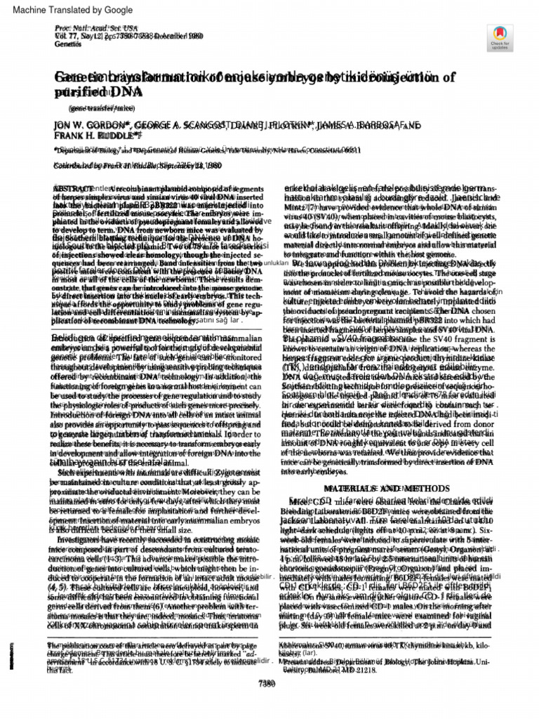 Gordon Et Al 1980 Genetic Transformation of Mouse Embryos by ...
