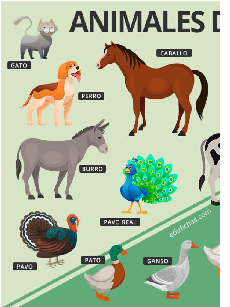 Lista animales dom | PDF