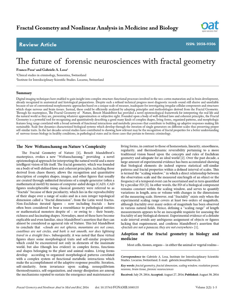Art The Future of Forensic Neurosciences With Fractal Geometry 2016 ...