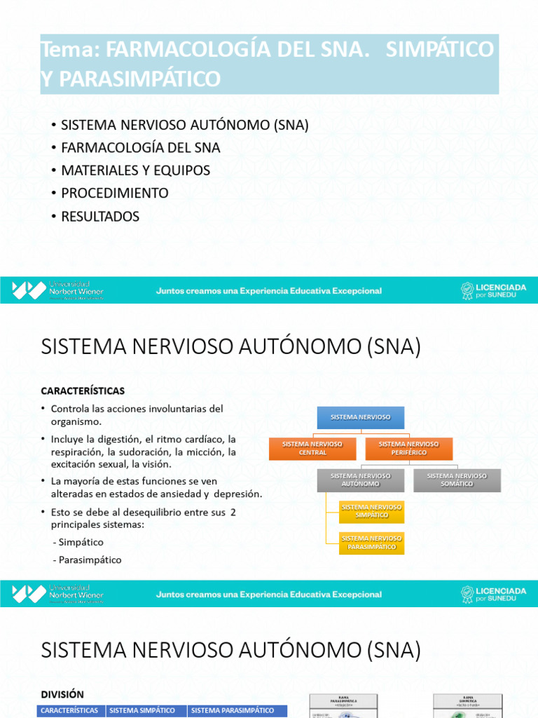 Semana 4. Farmacología Del SNA. Simpático y Parasimpático - OML | PDF | Sistema nervioso ...