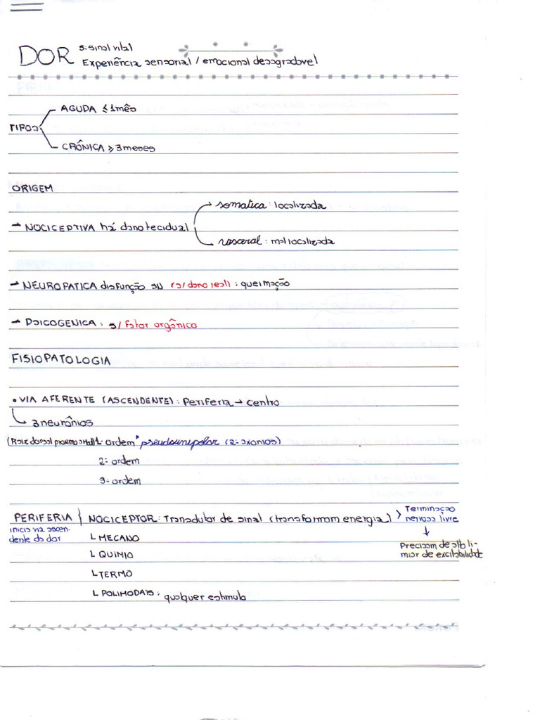 Dor | PDF