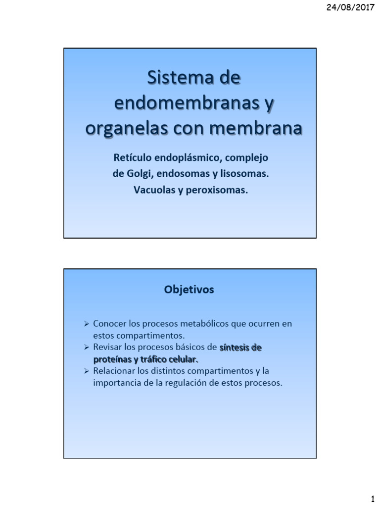 Sistema de Endomembranas y Organelas | PDF | Lisosoma | Anatomía Celular