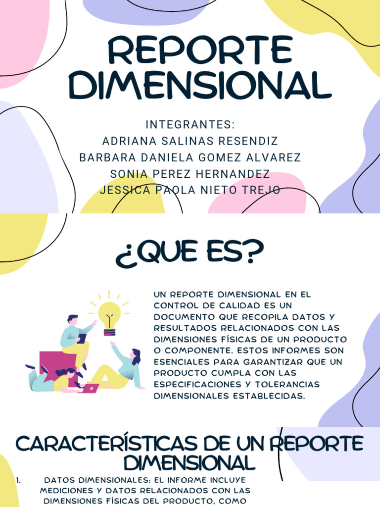 Presentación Reporte Dimensional | PDF | Tecnología