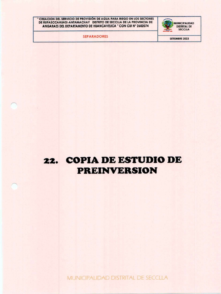 22.+COPIA+DE+ESTUDIO+DE+PREINVERSION_20240508_150800_538 | PDF