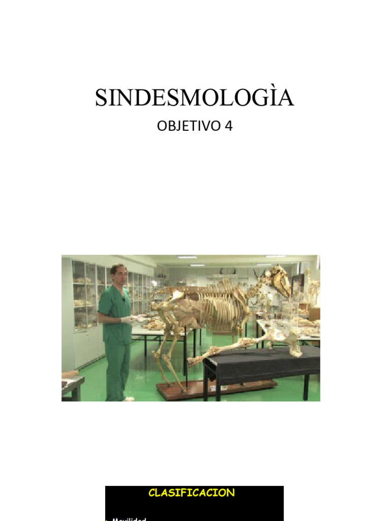 Power Point. Sindesmología | PDF | Articulación | Anatomía