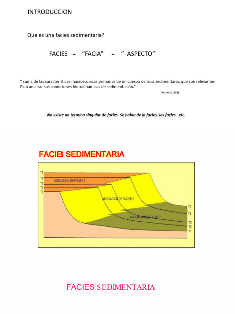 Facies Sedimentarias 4 | PDF | Estratigrafía | Geología