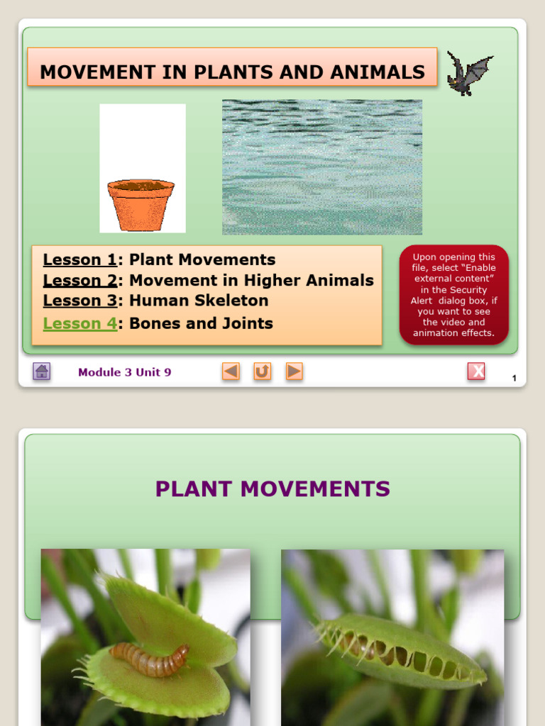 Movement in Plants and Animals | PDF | Muscle | Skeleton
