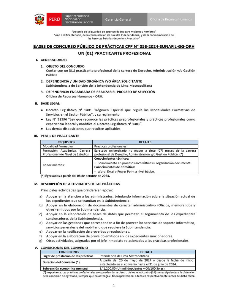 Bases CPP 056-2024-Sunafil | PDF | Videotelefonía | Documento de identidad