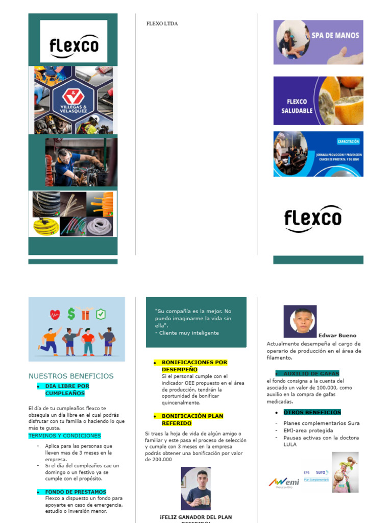 Beneficios Laborales en Flexco | PDF | Economias