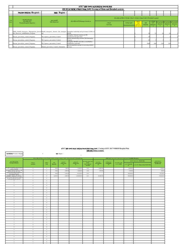 Updated Activity & Budget - Format - April 15, 2024 | PDF
