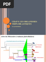 Définition et classification des métazoaires | PDF | Anatomie | Biologie