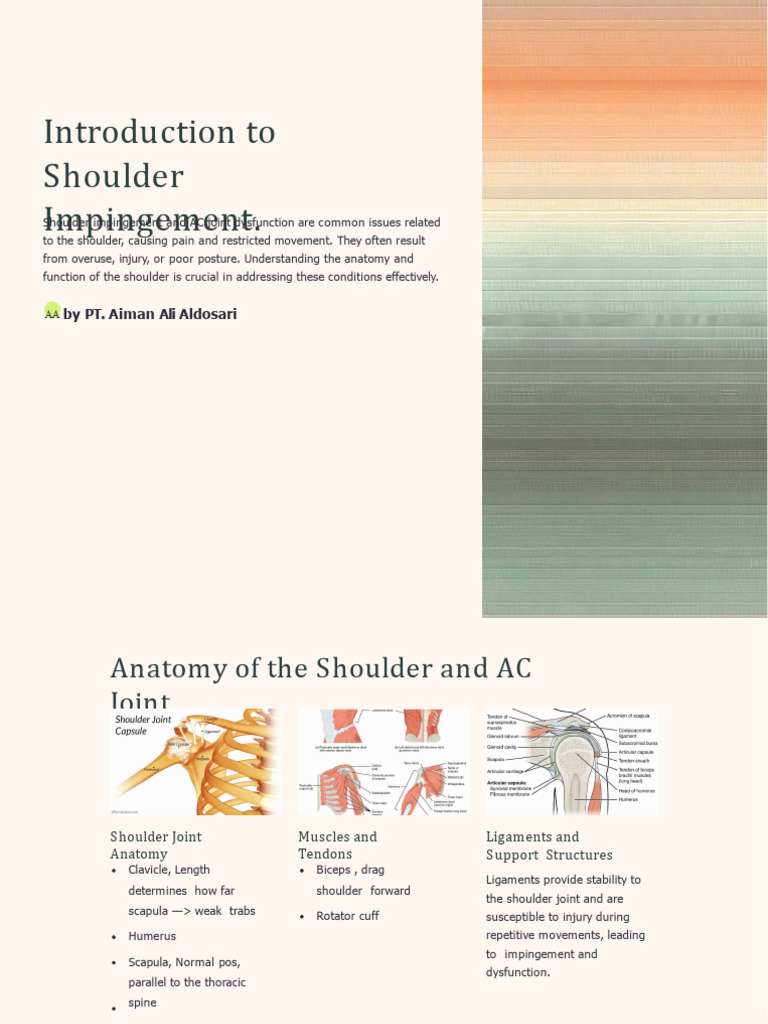 Introduction to Shoulder Impingement | PDF | Shoulder | Anatomy
