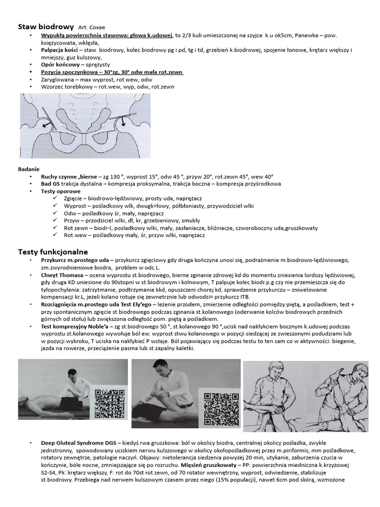 Staw Biodrowy | PDF