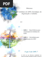 Tipos de Caps | PDF | Enfermagem | Psiquiatria