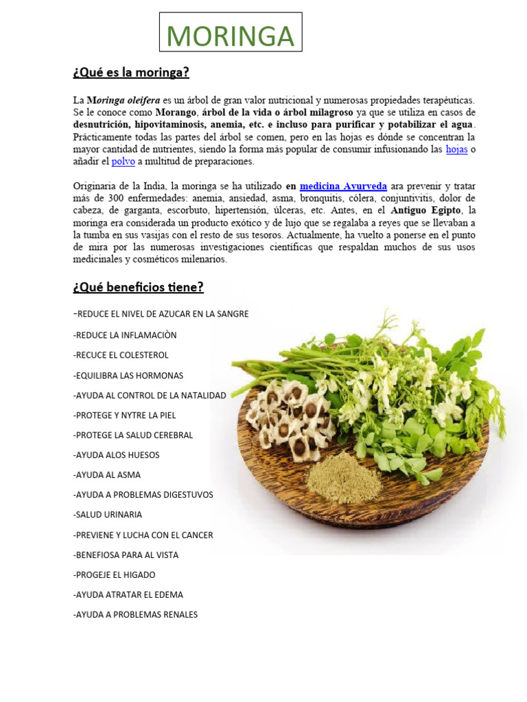 Qué Es La Moringa | PDF | Antioxidante