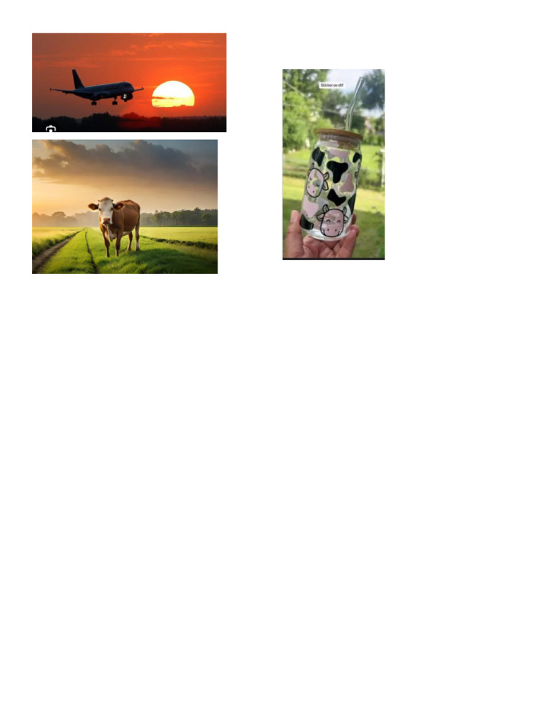 Avion Vaca y Vaso Vaca | PDF