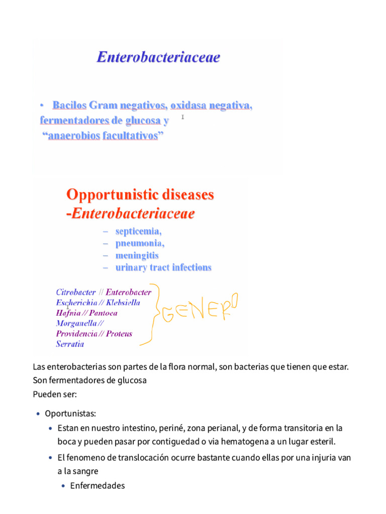 Aula 10 - Enterobacterias | PDF | Salmonela | Escherichia coli