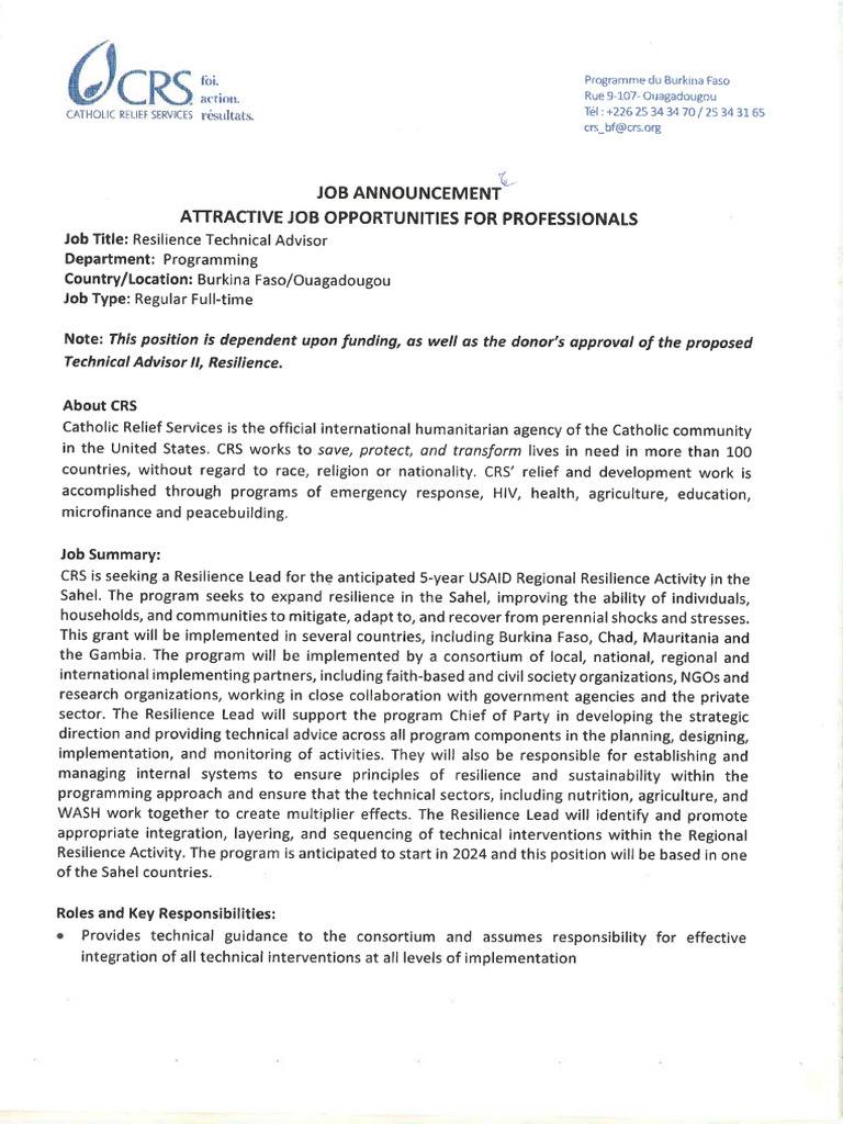 Avis Externe Resilience Technical Advisor | PDF