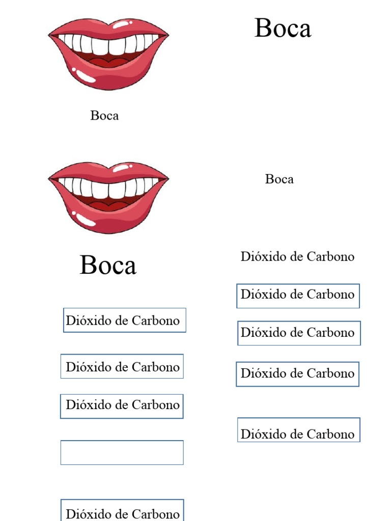 Boca | PDF