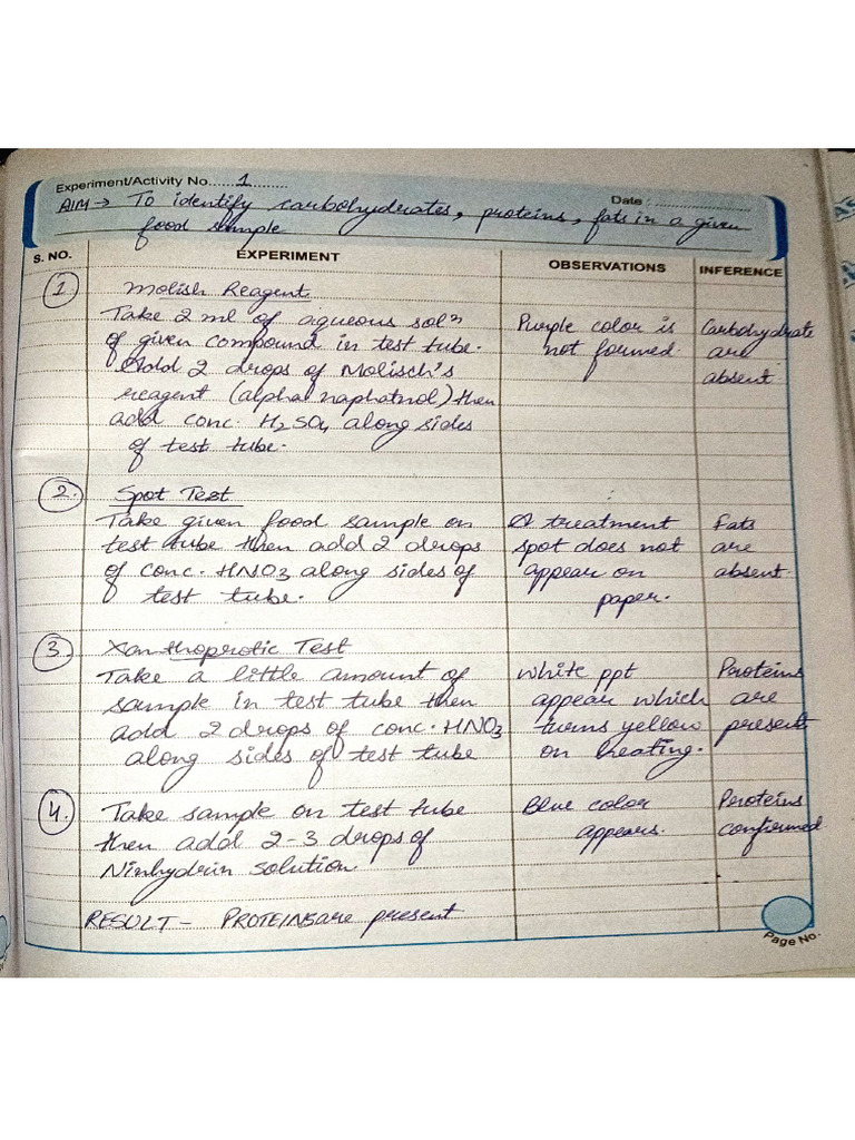 Back Sheets Practical | PDF