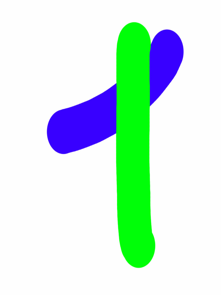 Illustratio 4444444 | PDF