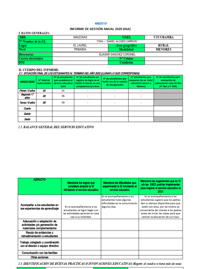 Anexo 01 - Iiee | PDF | Aprendizaje | Cognición