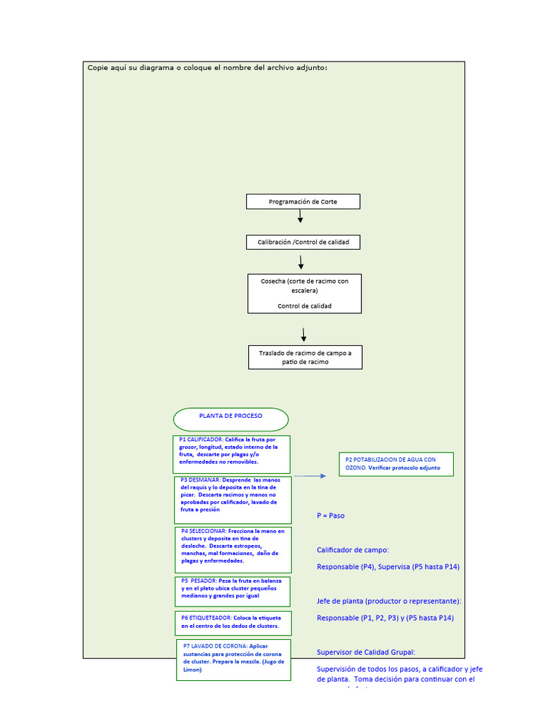 Flujo Grama de Proceso | PDF