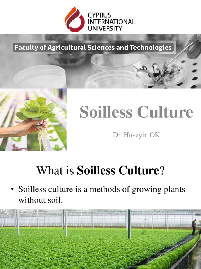 Soilless Culture 1 | PDF | Hydroponics | Soil