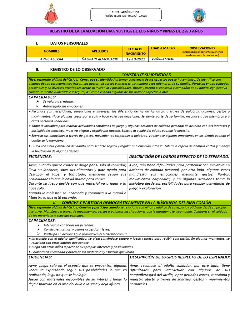 Avne-Ficha de Registro de Evaluación Diagnostica de Entrada 2 Años-2024 | Descargar gratis PDF ...