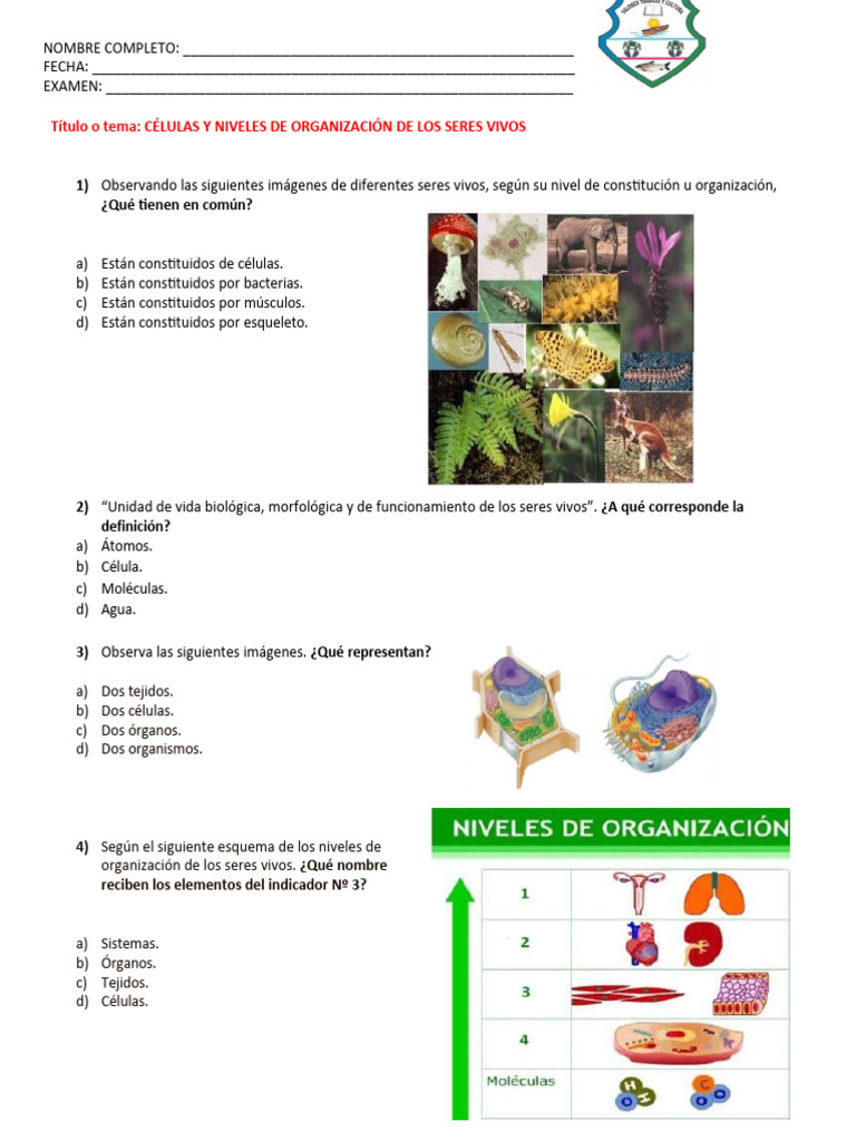 Cs 5EGB U2 Eval Formativa Nº2 Células y Niveles Organización | PDF | Organismos | Tejido (biología)