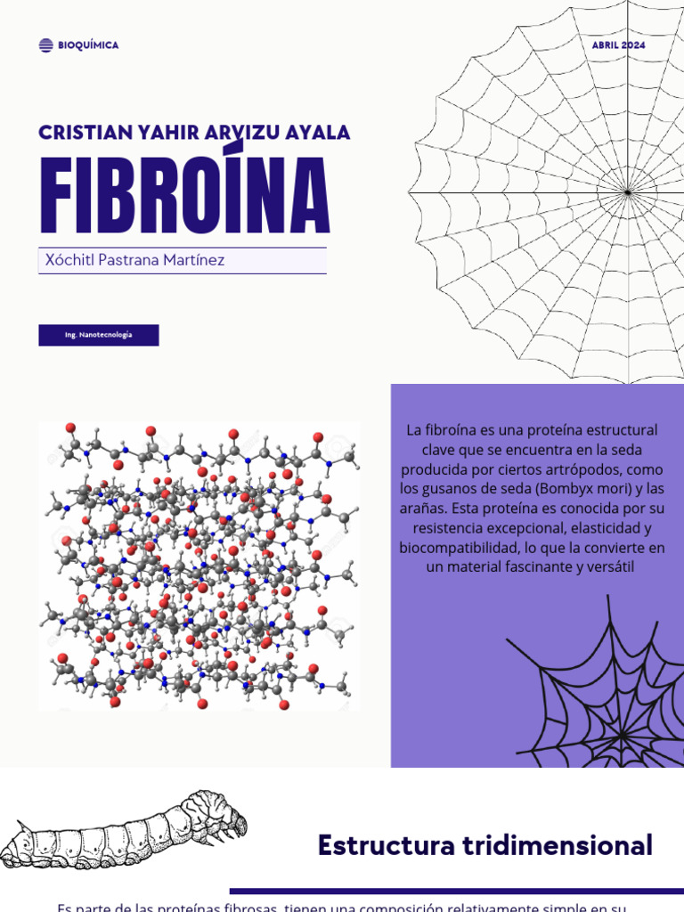 Fibroína: Innovación en Nanotecnología | PDF | Nanotecnología | Seda