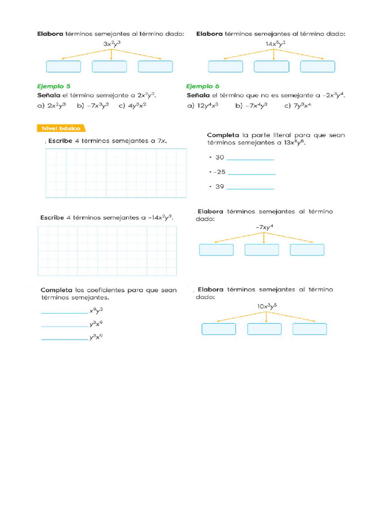 Termino Algebraico | PDF
