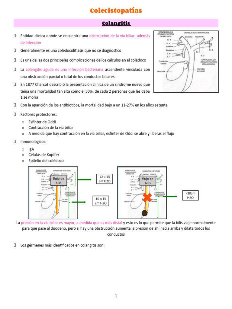 Manejo de la Colangitis Aguda | PDF | Abdomen | Gastroenterología