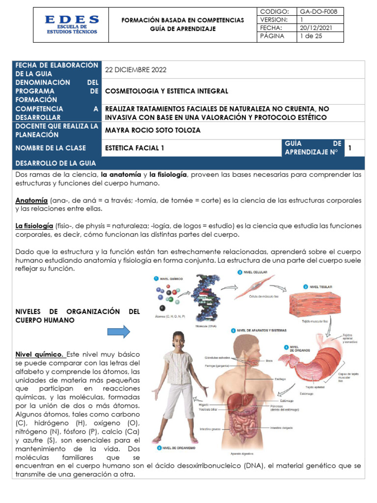 Guia De Aprendizaje Estetica Facial I Descargar Gratis Pdf