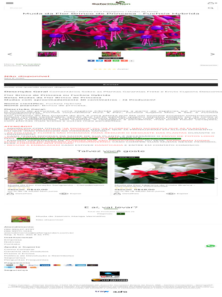 Muda Da Flor Brinco de Princesa - Safari Garden | PDF | Flores | Botânica