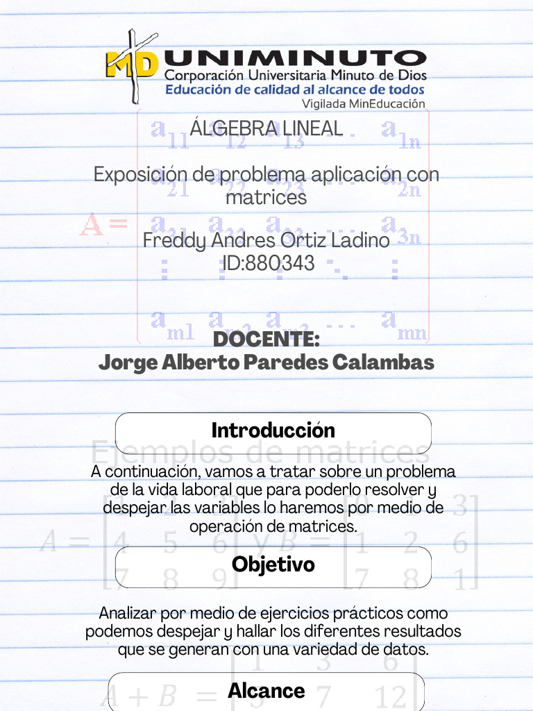 Exposición matrices | PDF | Matriz (Matemáticas) | Álgebra lineal