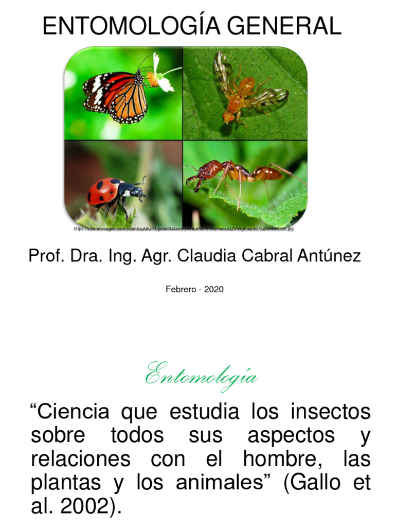 Unidad 1 Entomologia General | PDF | Plaga (organismo) | Insectos