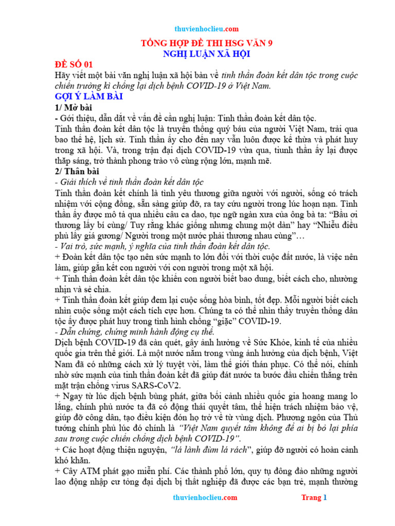 160 de Thi Nghi Luan Xa Hoi 9 | PDF