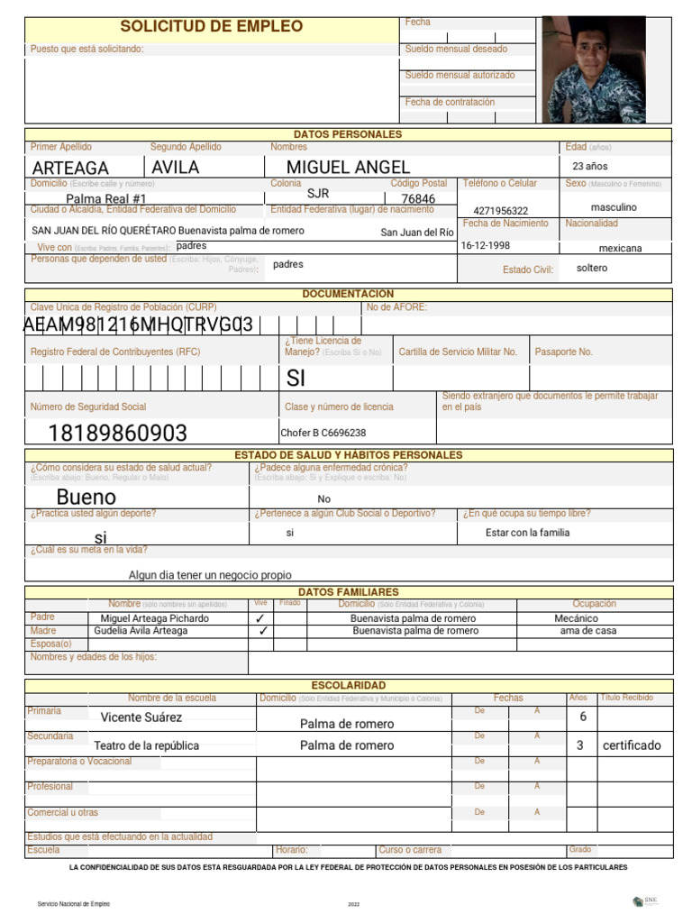 Sne Solicitud de Empleo Plantilla PD | PDF