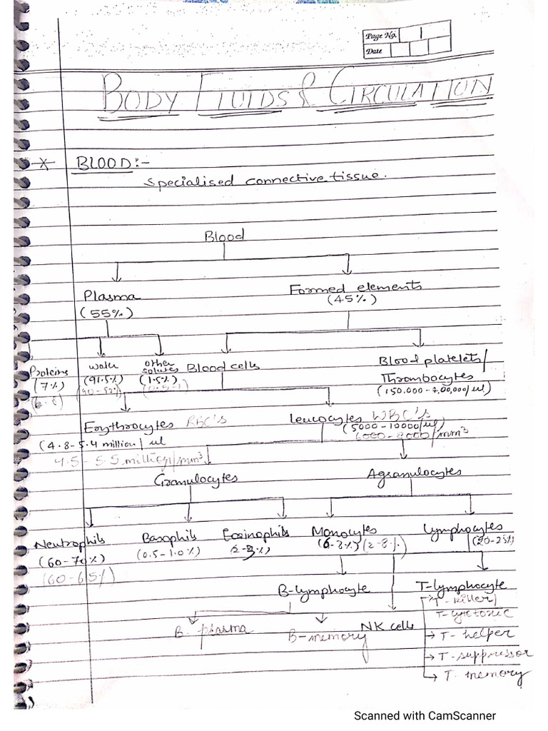 Circulation Pdf