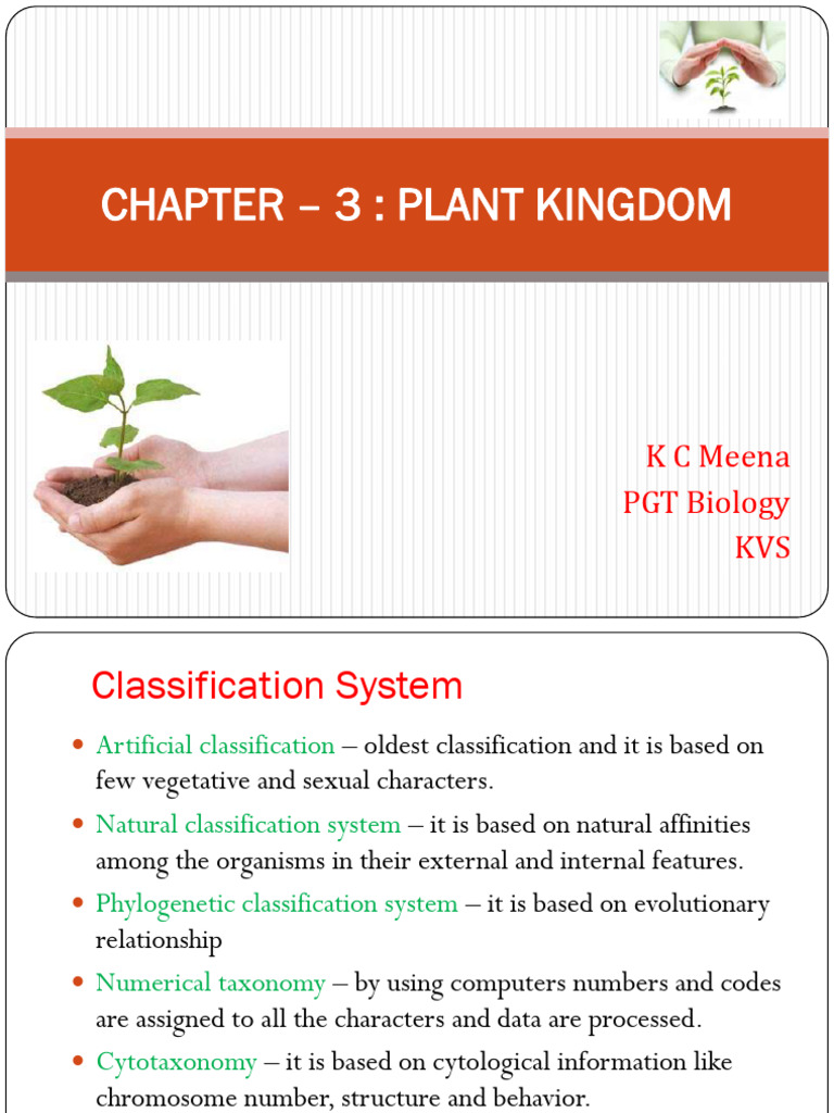 Chapter - 3 Plant Kingdom | PDF | Spore | Moss