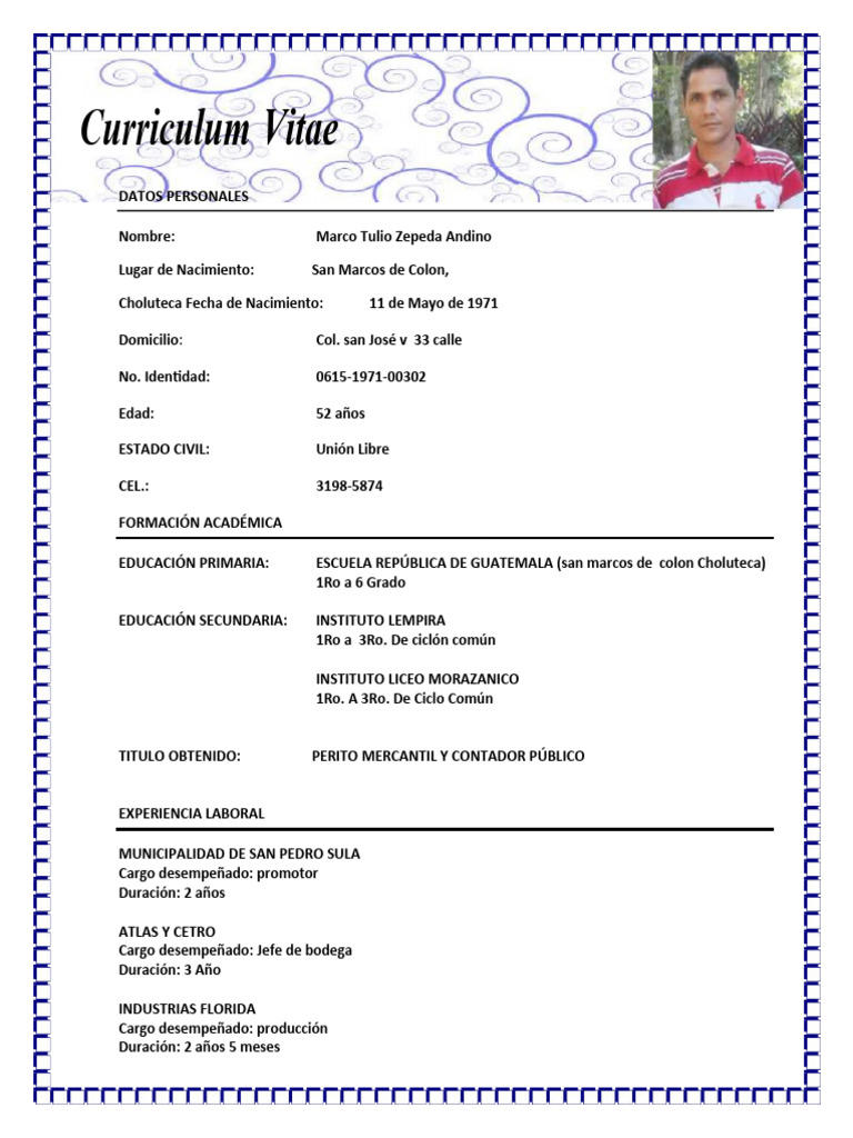 Curriculum vitae Marco Tulio Zepeda Andino | PDF