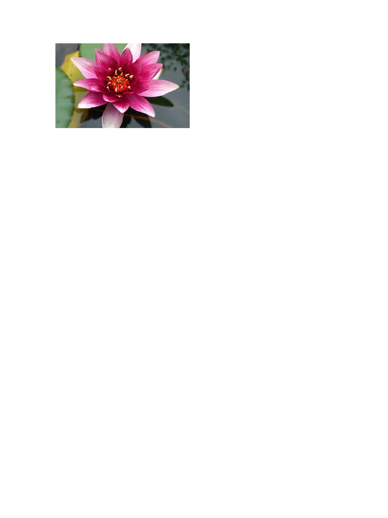 Sei | PDF