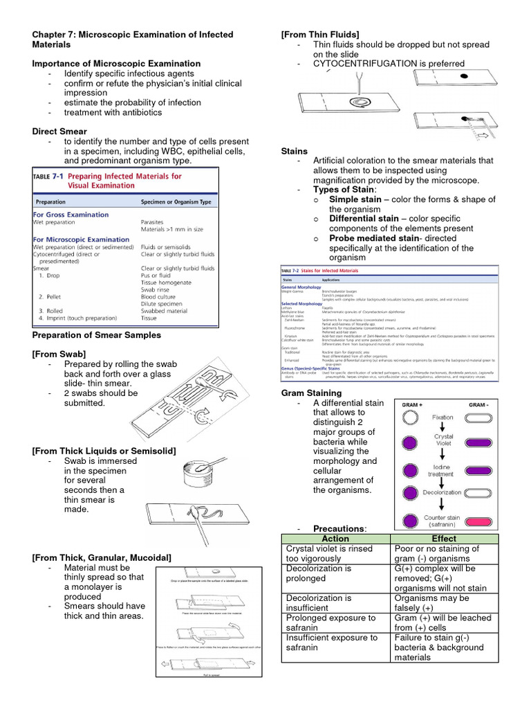 Chapter 7 Trans | PDF | Staining | Infection