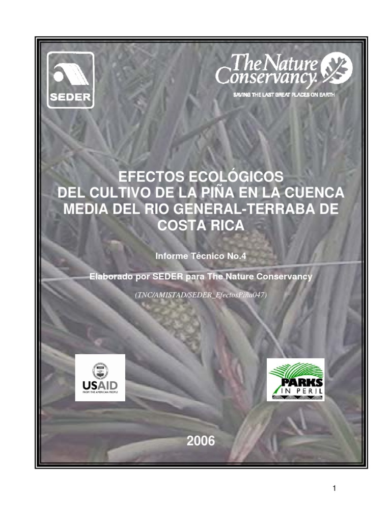 Efectos Ecologicos Del Cultivo Piña en Cuenca Media Del Rio General ...