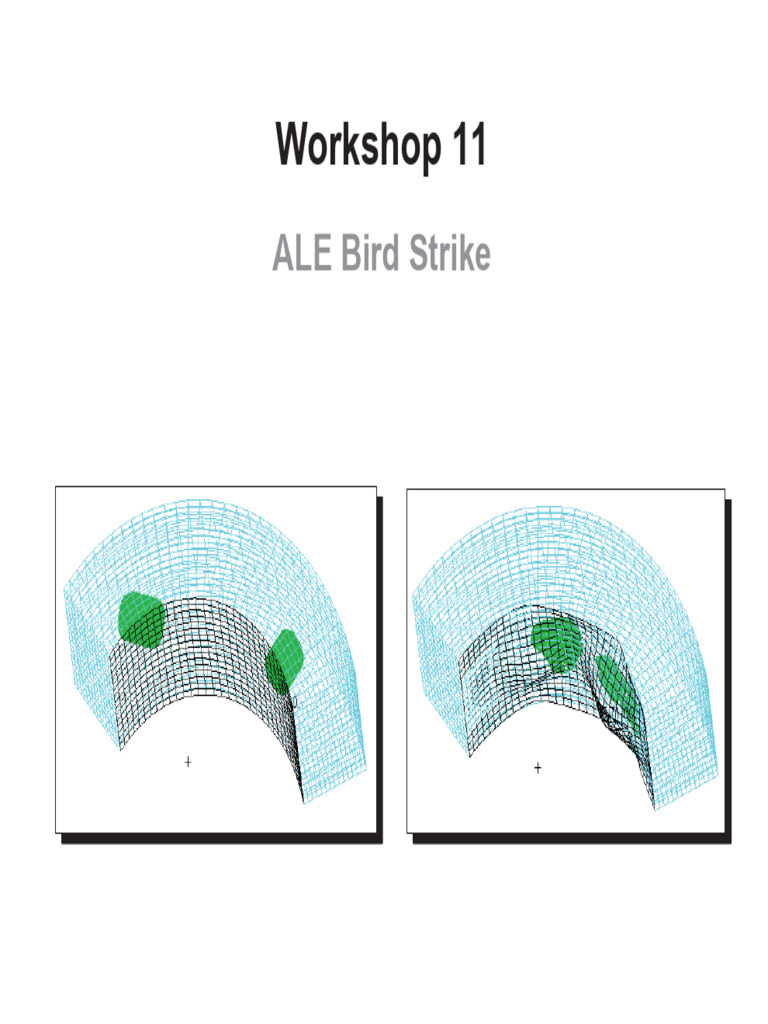 Dytran Workshop-11 - ALE - Birdstrike | PDF | Coordinate System | Young's Modulus