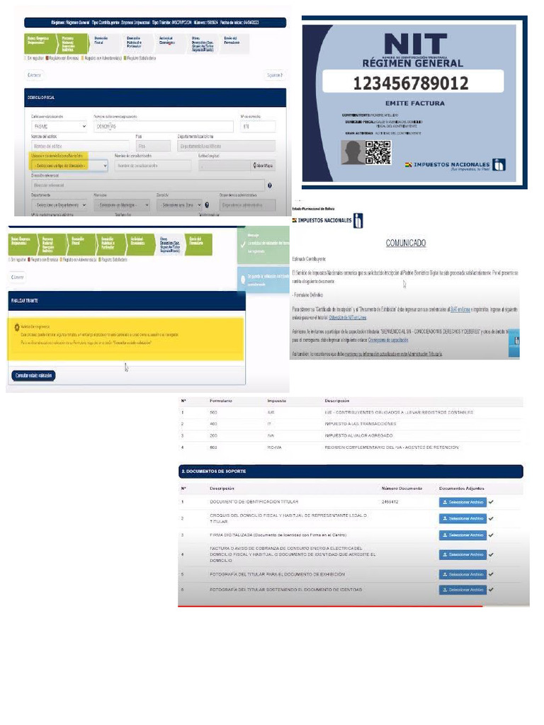 Obtencion Del Nit | PDF