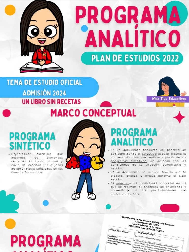 Programa Analitico | PDF